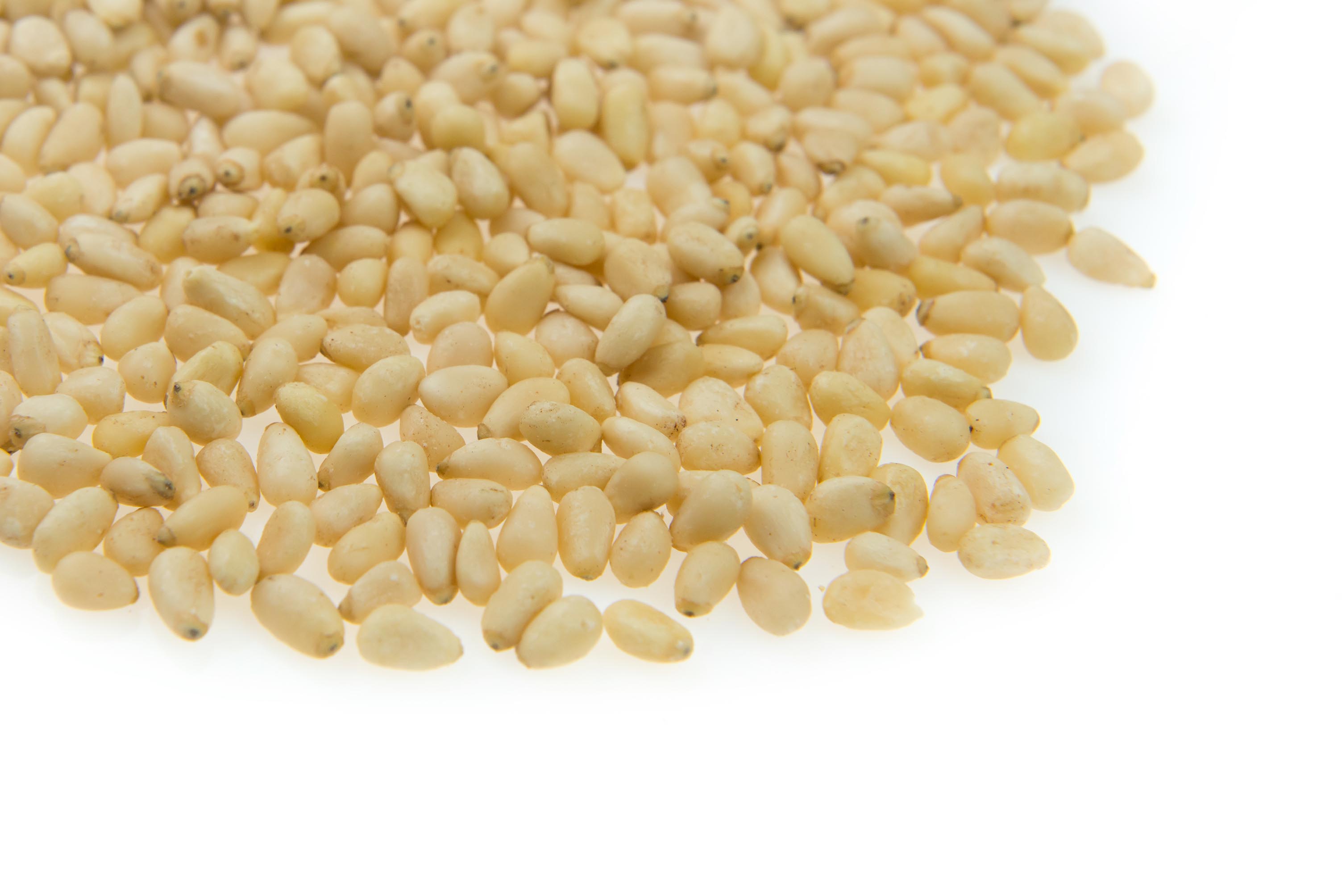 Additional Products : Pine Kernels