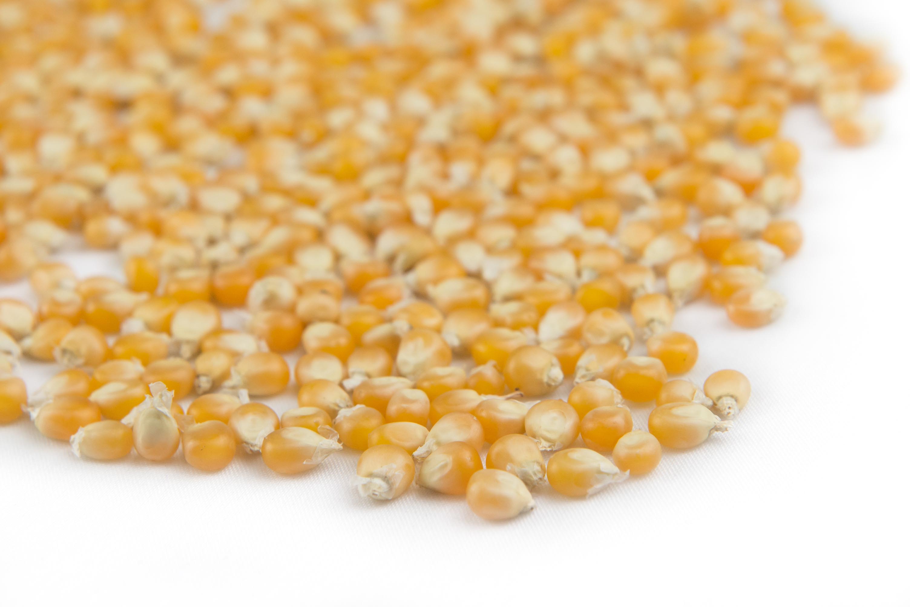 Additional Products : Popcorn Seeds