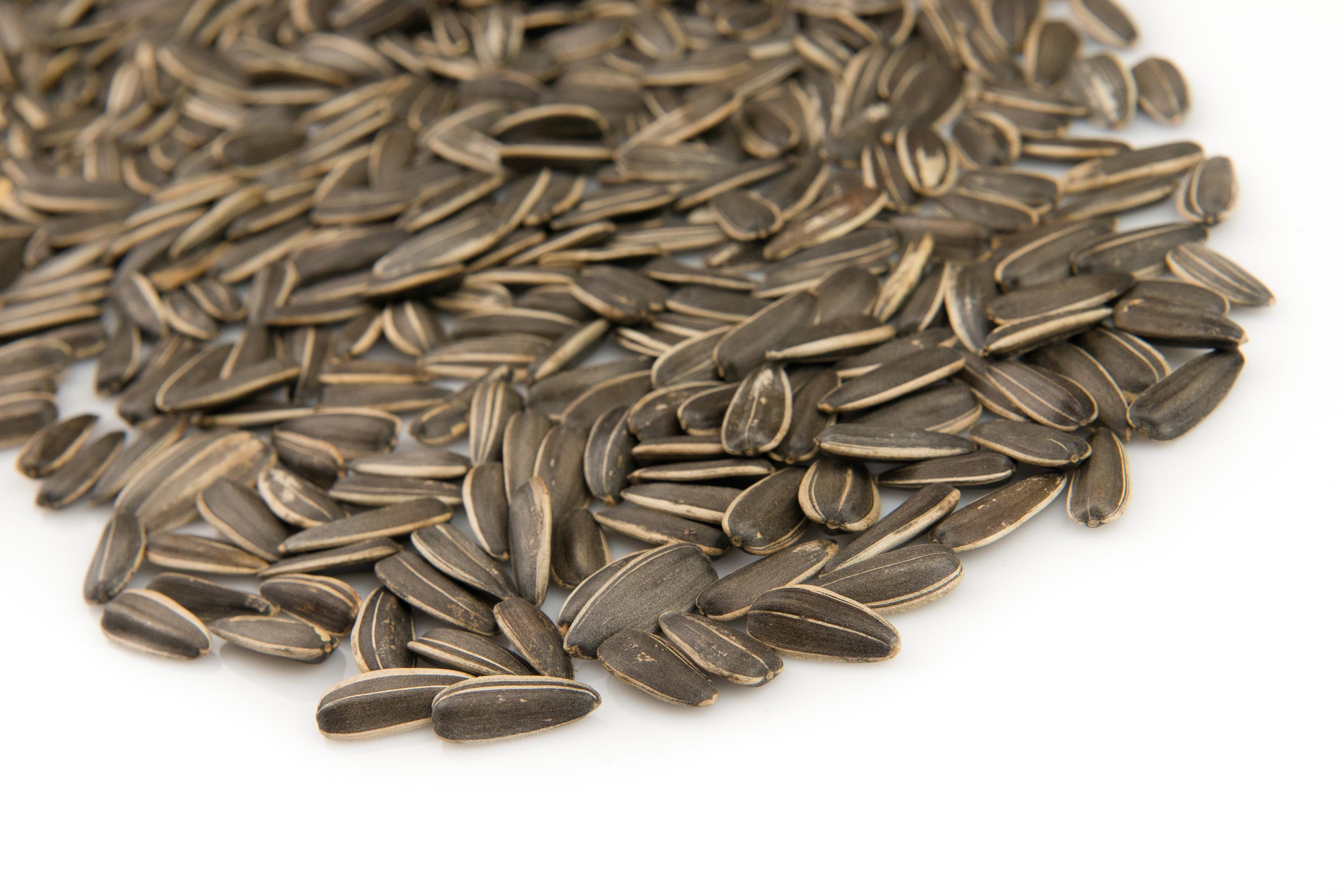 Dried Nuts : Sunflower Seeds